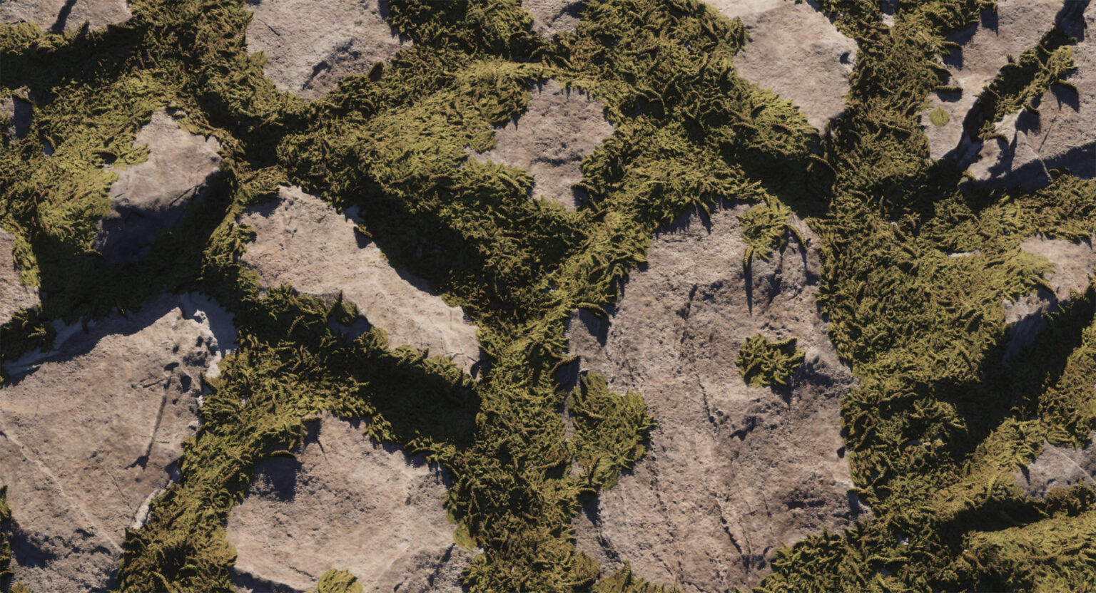 Project Showcase - Continuum Graphics