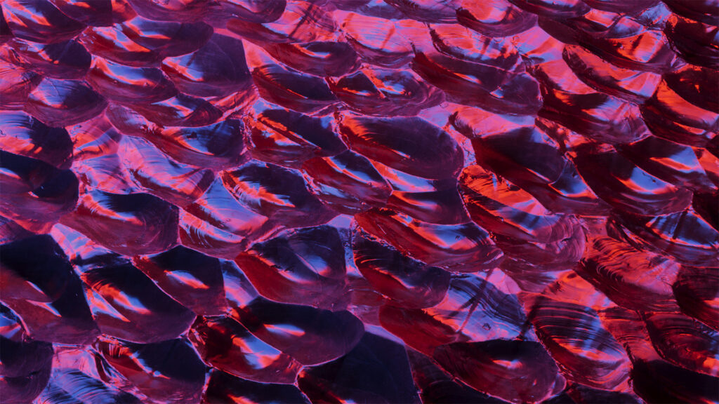 Project Showcase - Continuum Graphics