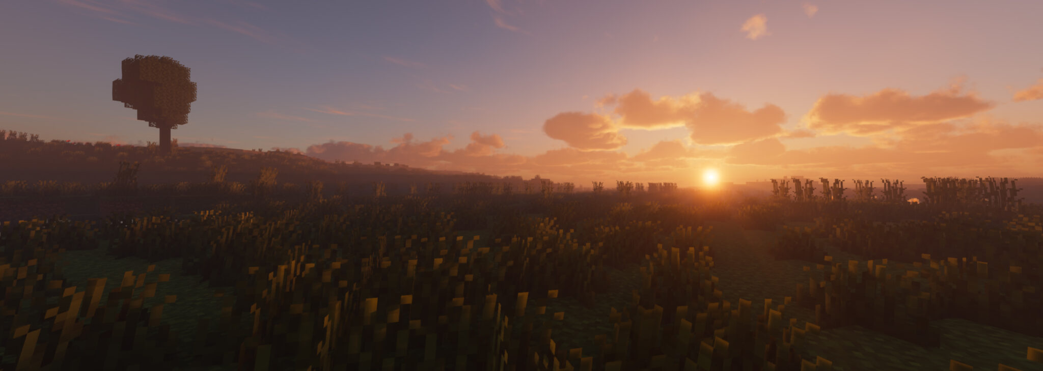 Project Showcase - Continuum Graphics