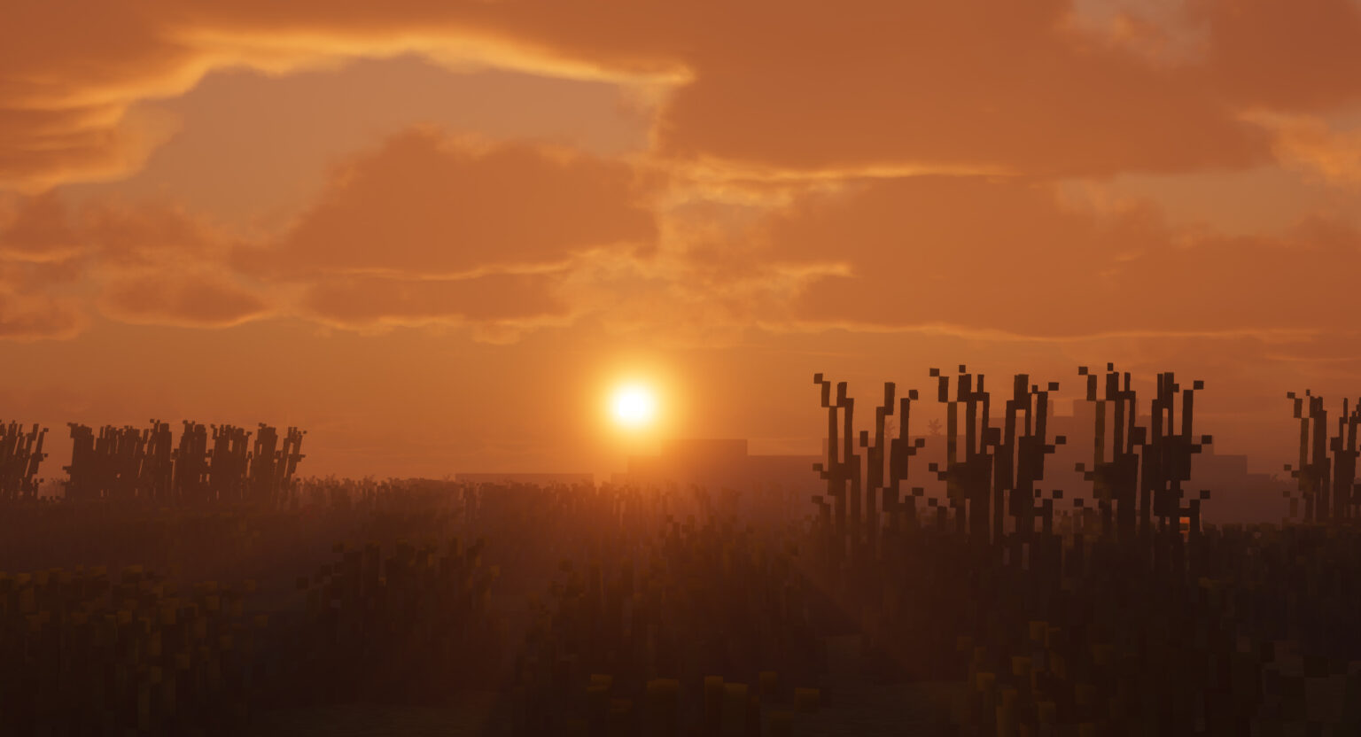 Project Showcase - Continuum Graphics