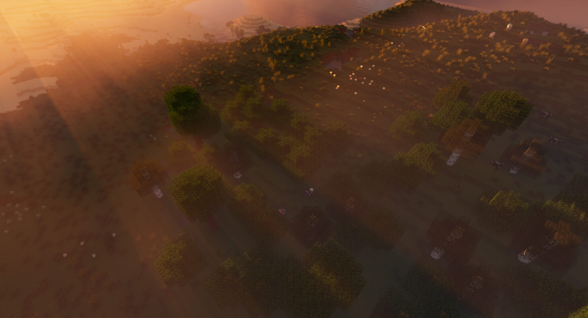 Project Showcase - Continuum Graphics