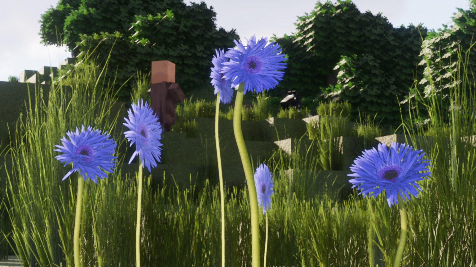 Project Showcase - Continuum Graphics