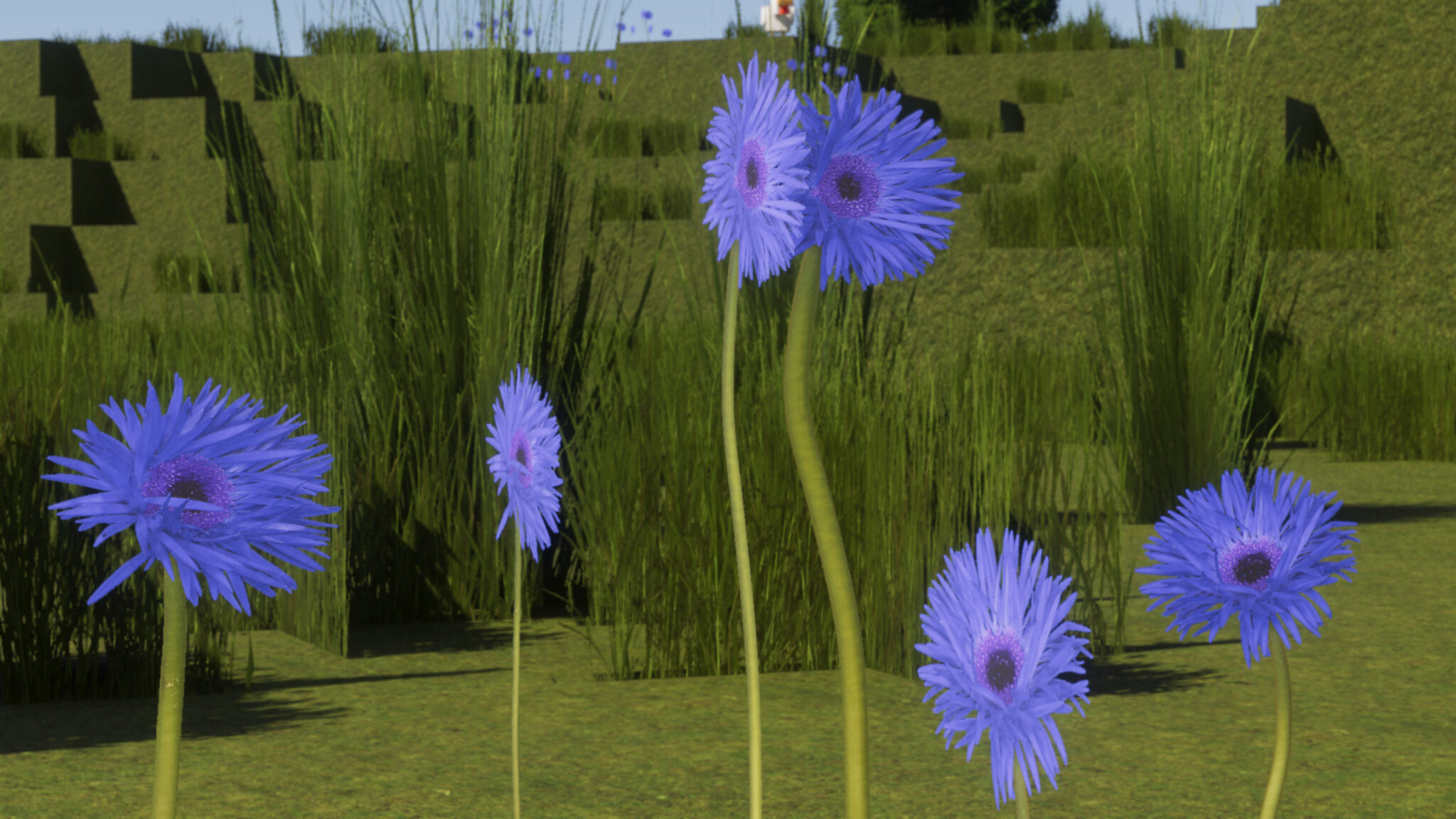 Project Showcase - Continuum Graphics