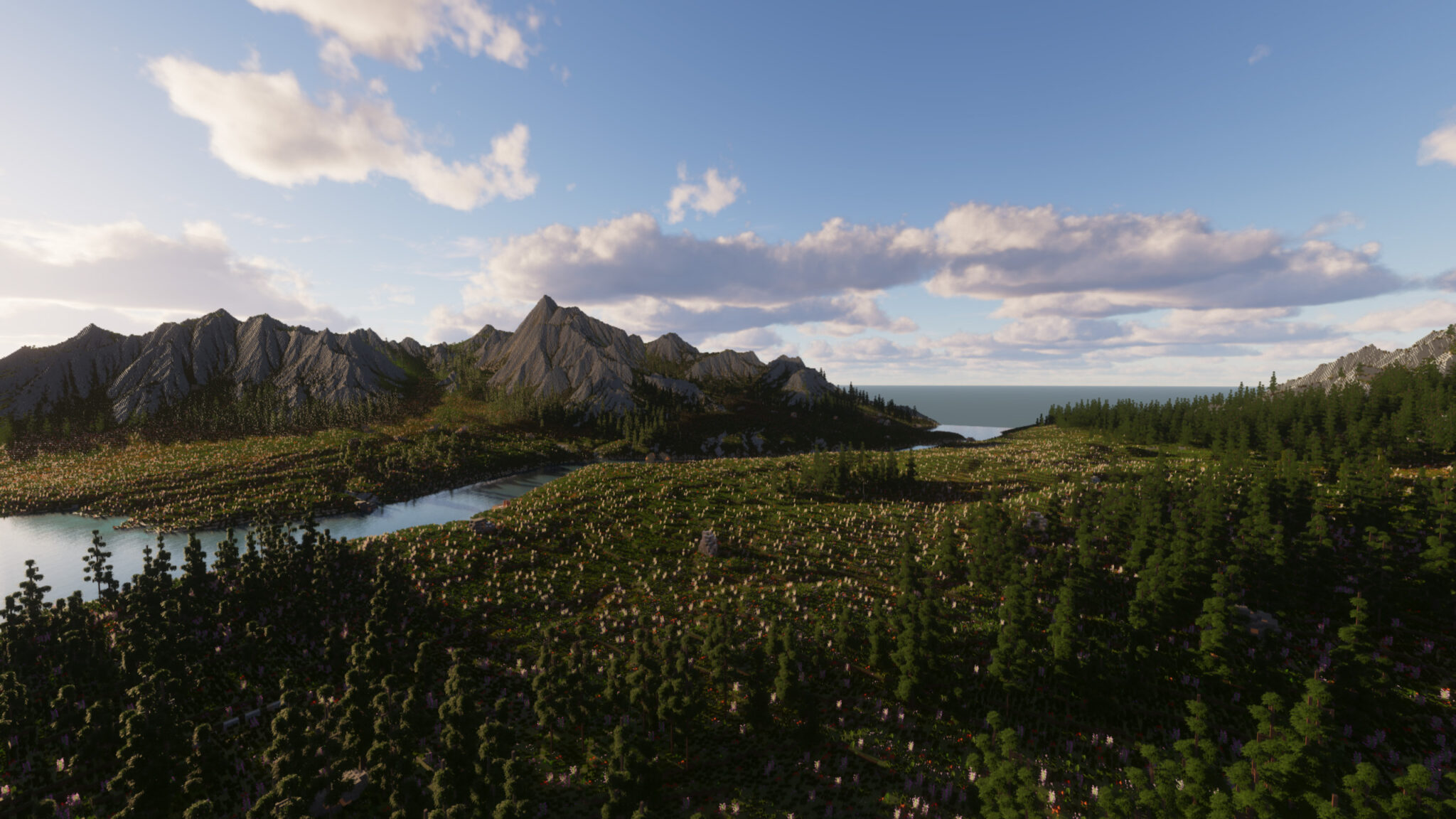 Project Showcase - Continuum Graphics