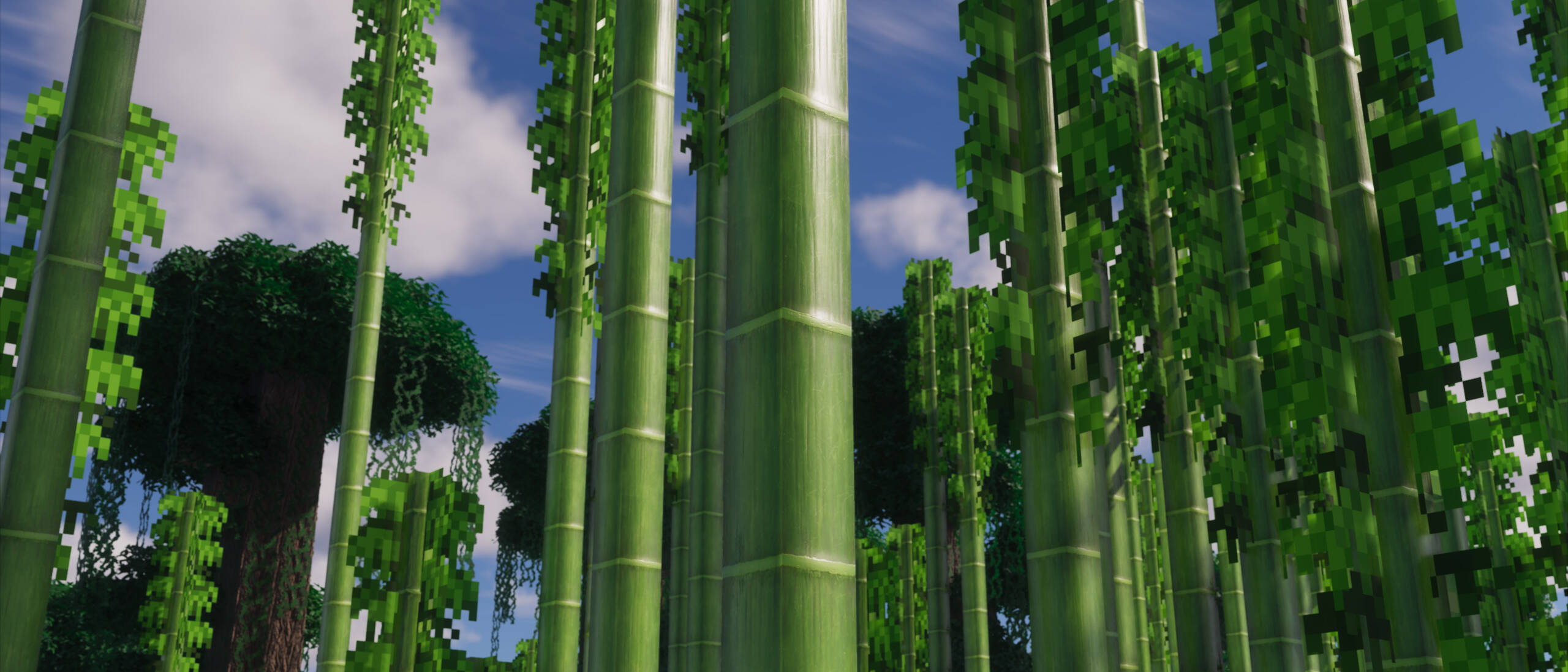 October 2024 Progress Update - Continuum Graphics