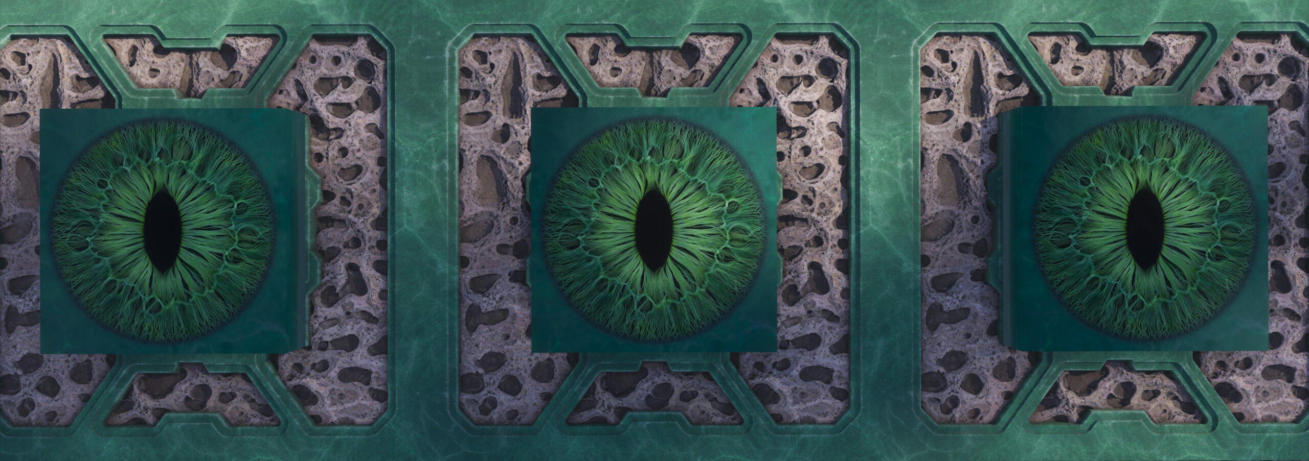 October 2024 Progress Update - Continuum Graphics