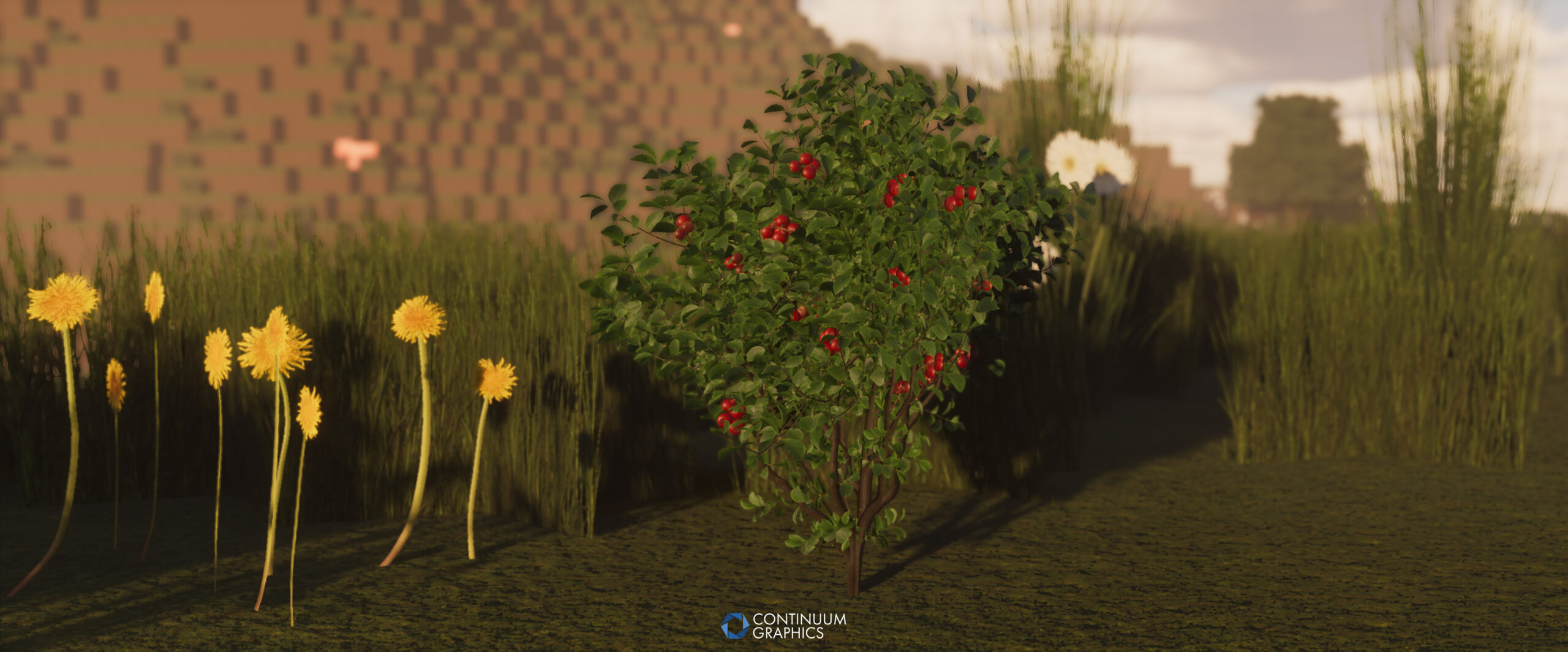 May 2025 Progress Update - Continuum Graphics