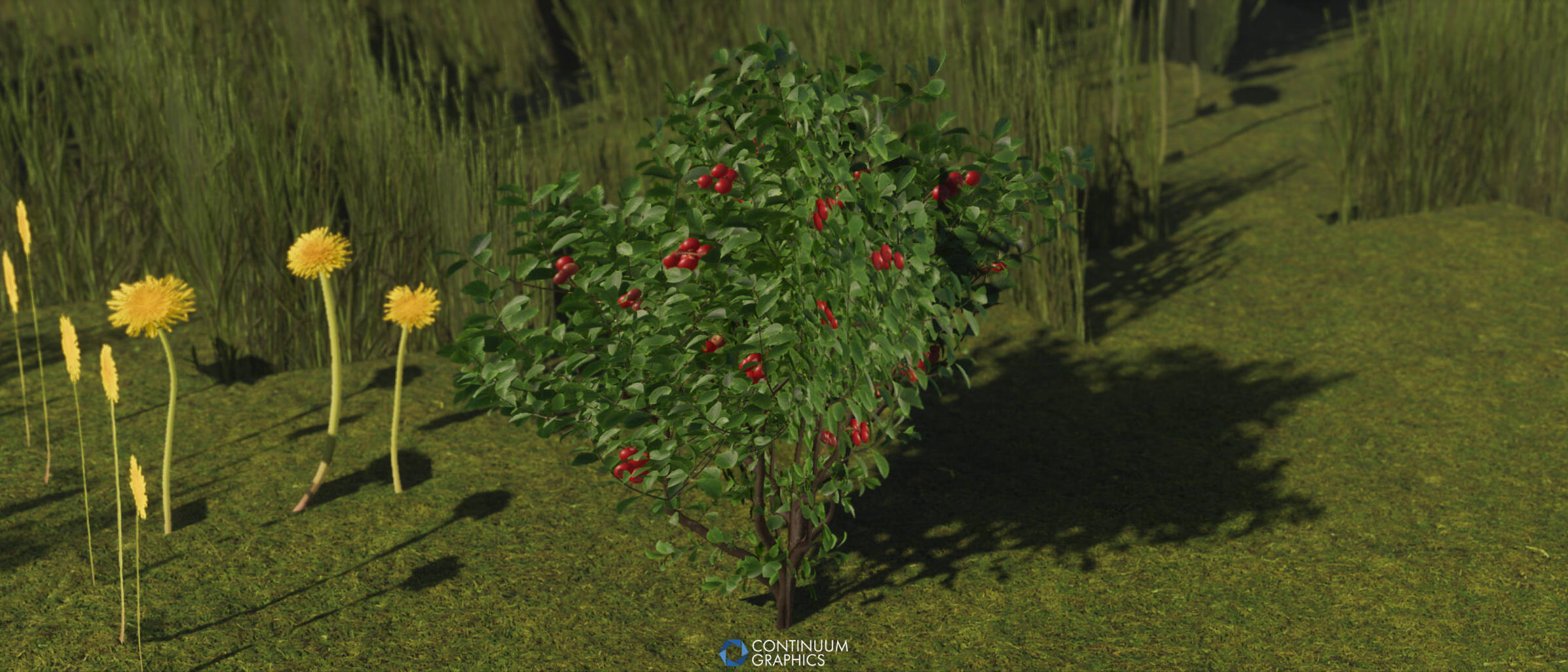 May 2025 Progress Update - Continuum Graphics