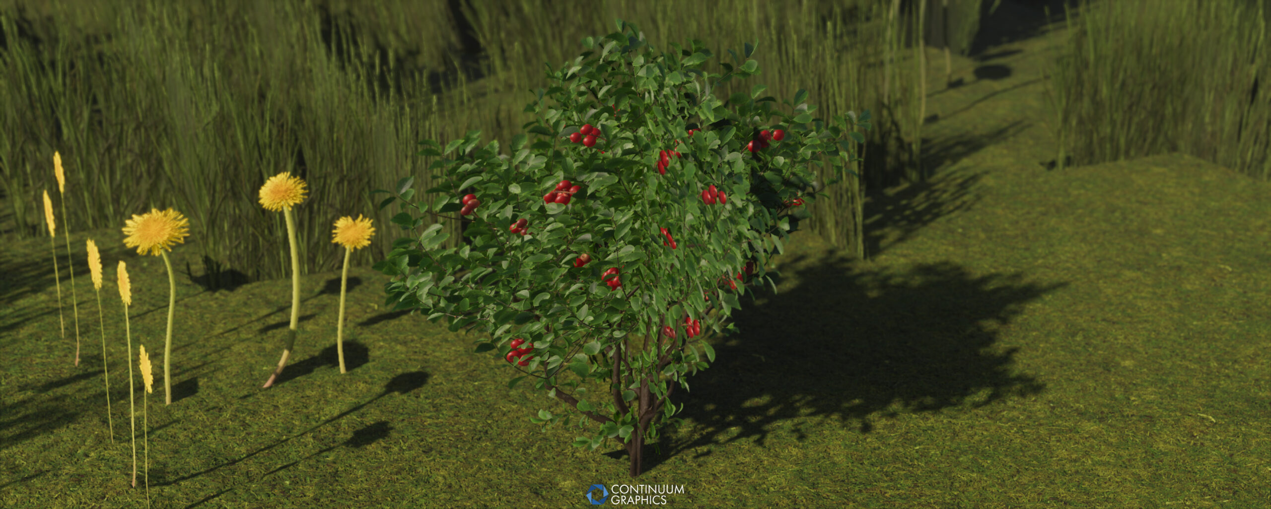 May 2025 Progress Update - Continuum Graphics