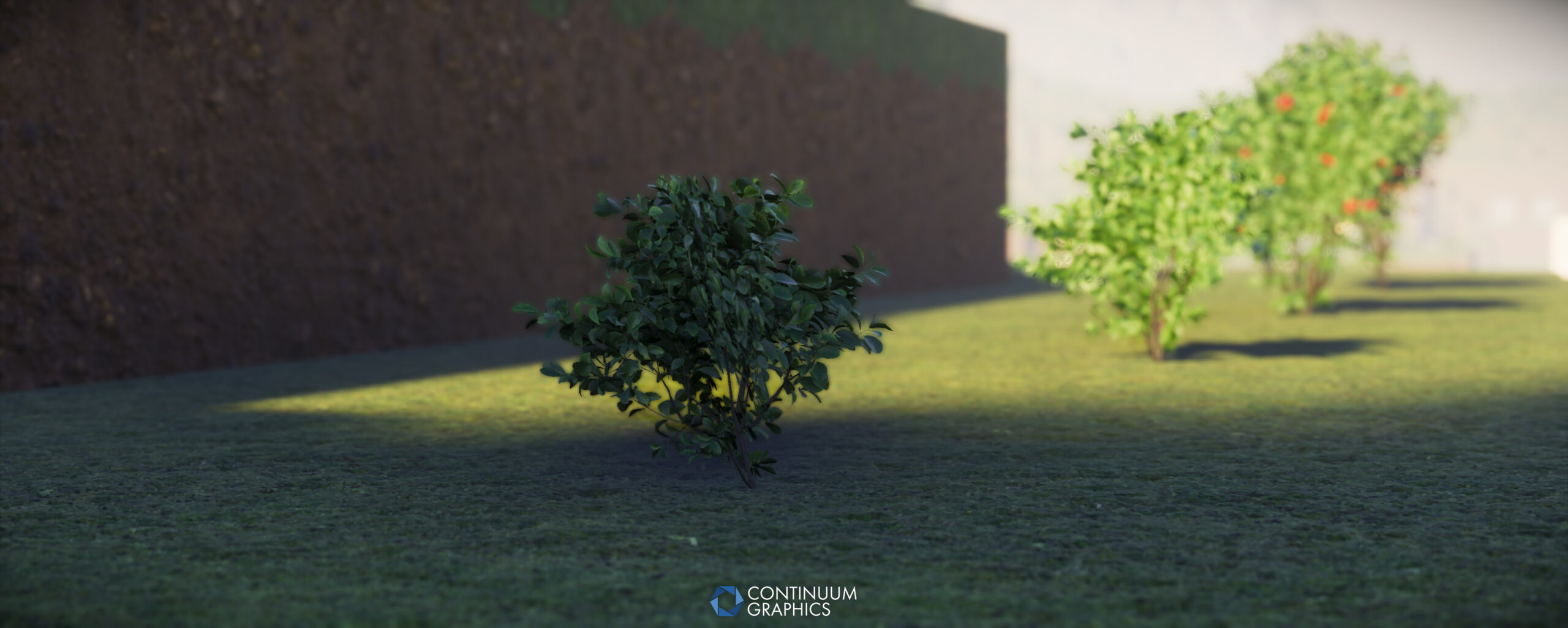 May 2025 Progress Update - Continuum Graphics