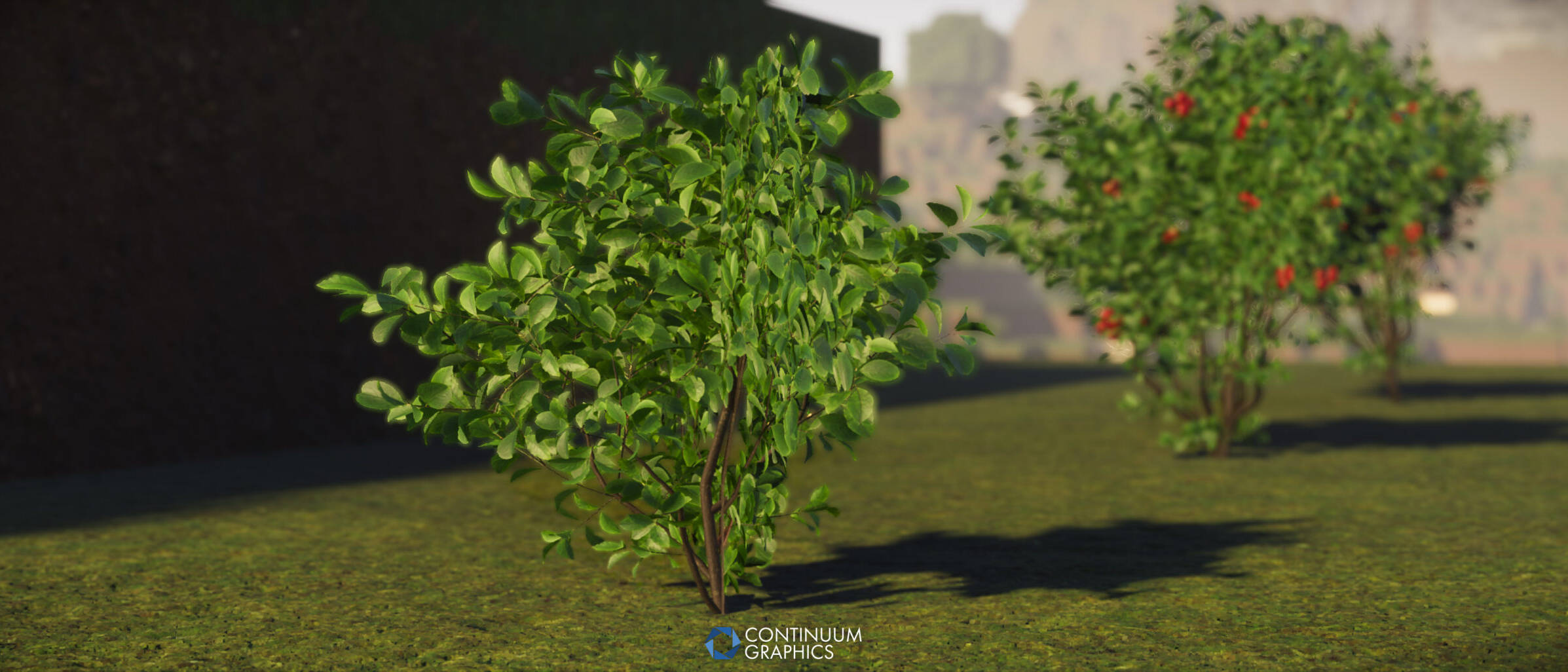 May 2025 Progress Update - Continuum Graphics