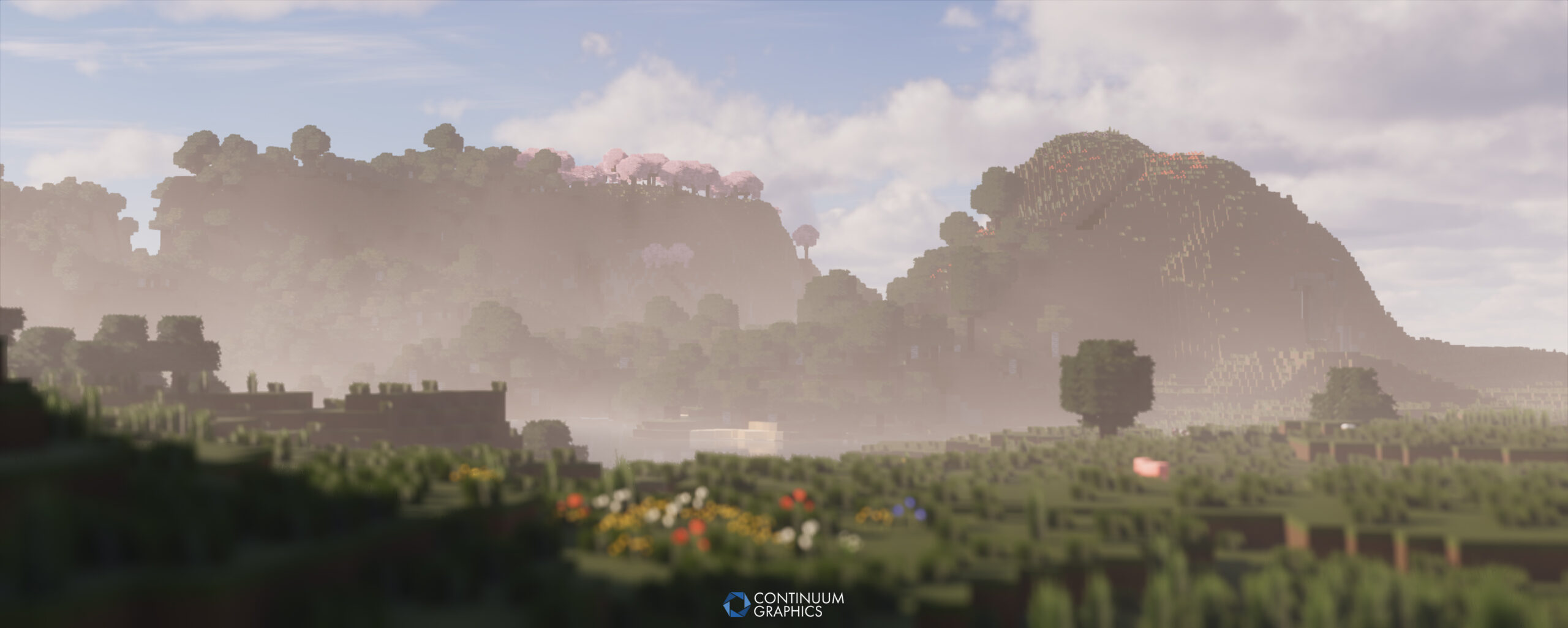 June 2025 Progress Update - Continuum Graphics